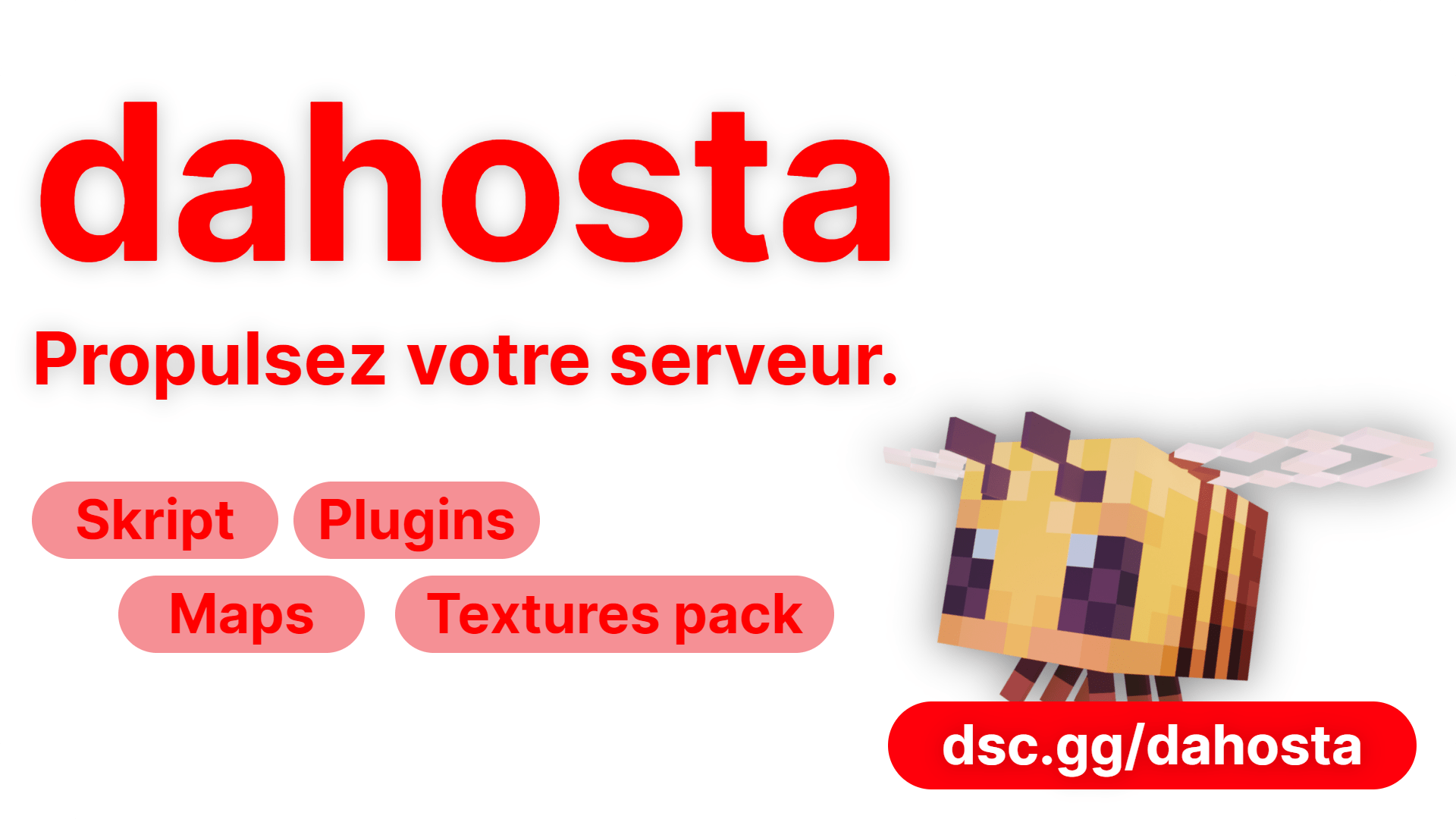 Fichiers Skript, plugins, ressources packs pour serveurs Minecraft